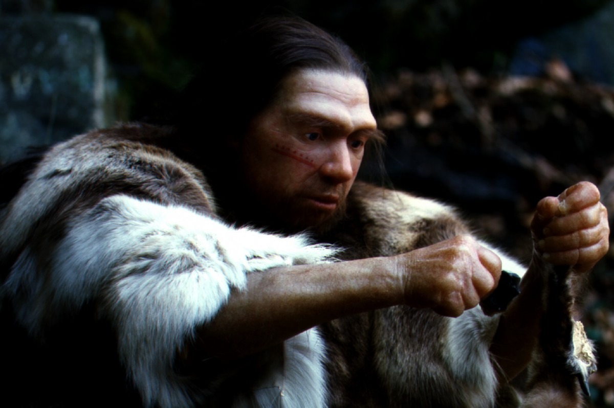 Neanderthal Museum