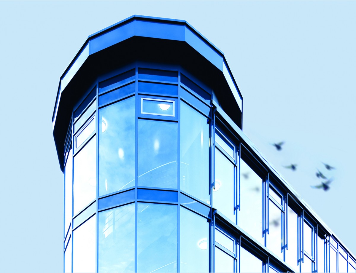 Ornilux mikado – Patentiertes Vogelschutzglas