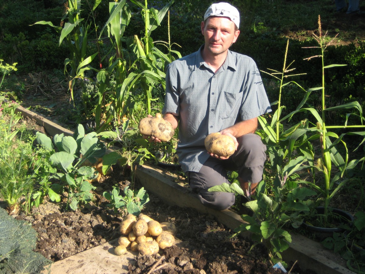 Palaterra® – Künstliche Schwarzerde