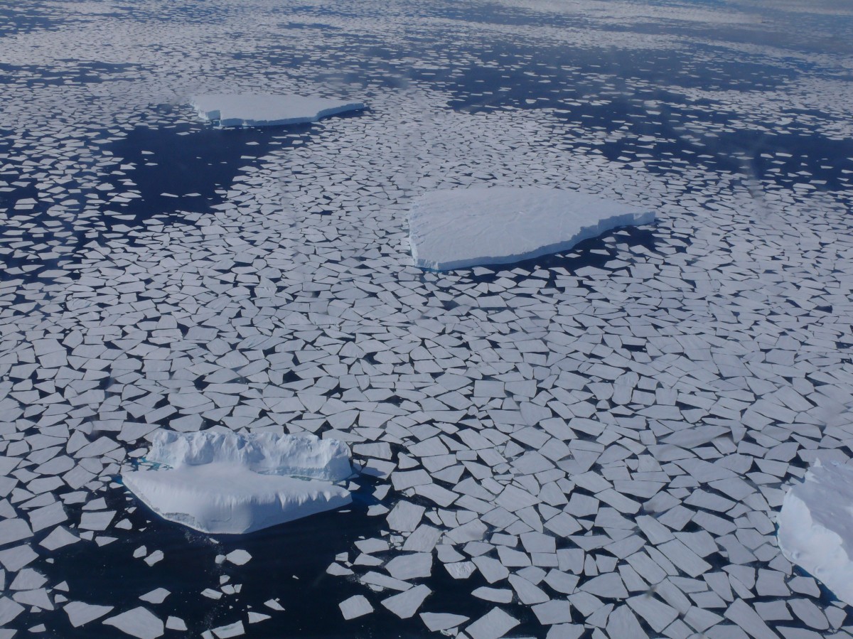 Wissensplattform meereisportal.de