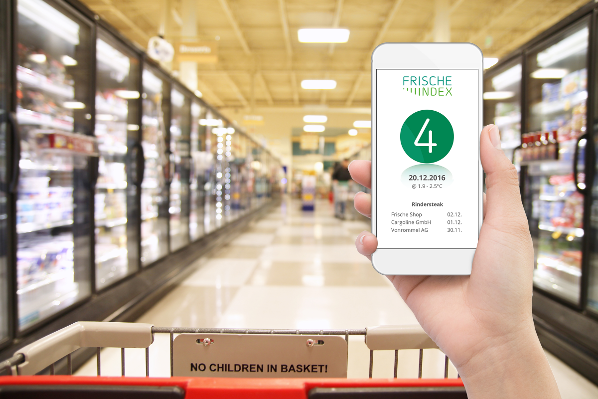 Freshness index - a shelf-life indicator for food